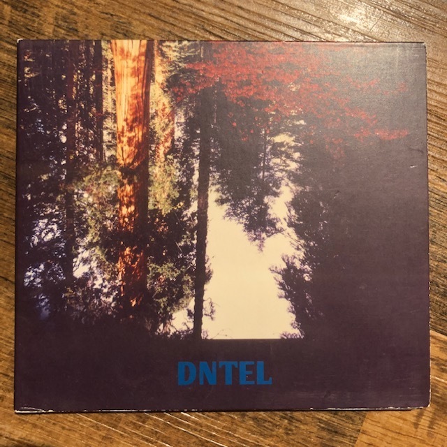 DNTEL / Aimlessness CD | STIFF SLACK WEBSHOP