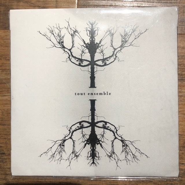 TOUT ENSEMBLE / St CD