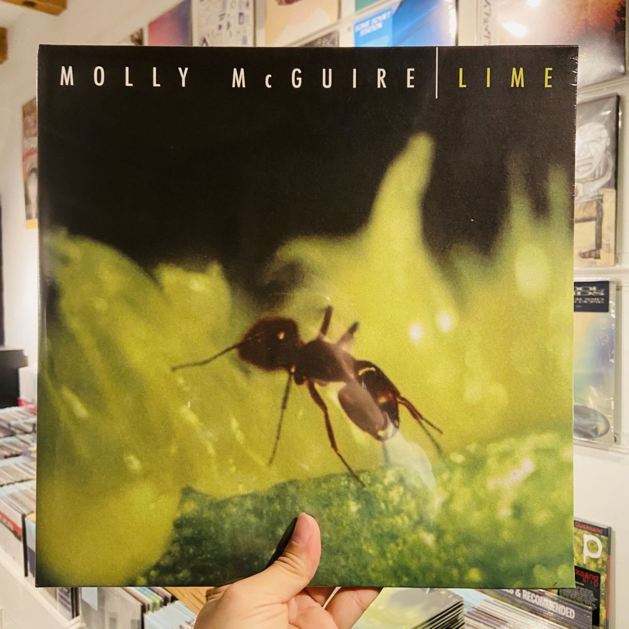 MOLLY MCGUIRE / Lime (2026 Remaster) 2xLP | STIFF SLACK WEBSHOP