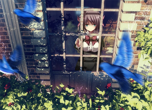 (PC18)アオイトリ ☆店舗特典無し | アダルトPCゲーム,アダルトPCゲーム店舗特典無 | トレーダー オンラインショップ | 予約