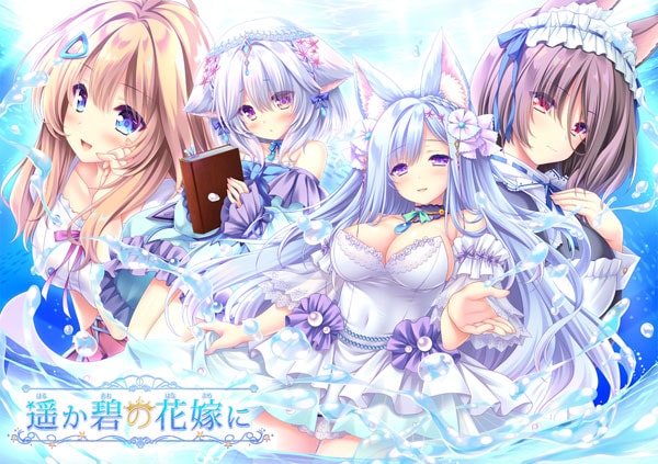 (PC18)遥か碧の花嫁に 初回版 ☆店舗特典無し | アダルトPCゲーム,アダルトPCゲーム店舗特典無 | トレーダー オンラインショップ | 予約