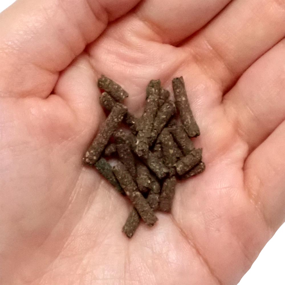 EBITENGU meal No.2 50g | アクアリウム用品,フード・給餌用品,その他 | Aquarium TALLMAN