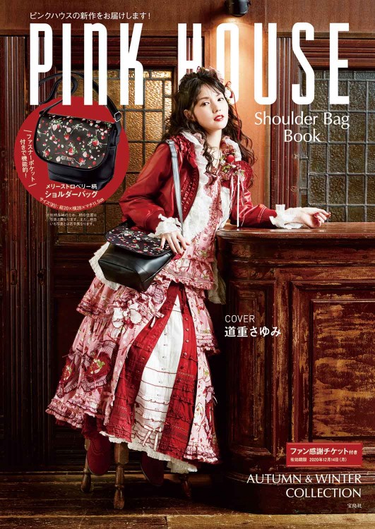 拡大イメージ表示