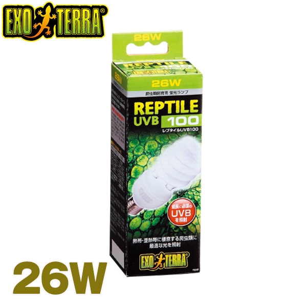 ペット用品,爬虫類用品,ライト類 | TOPCREATE