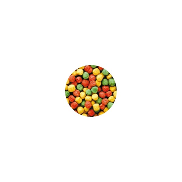 リクガメの栄養バランスフード 180g GEX（ジェックス） リクガメ ホシガメ エサ 専用フード 高繊維質 ビタミン カルシウム 安心 安全 | TOPCREATE