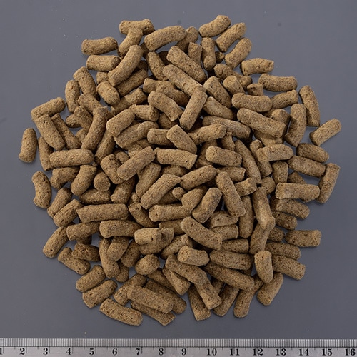 トカゲブレンドフード 400g GEX(ジェックス) 爬虫類 両生類 雑食性 昆虫食 エサ アメリカミズアブ ドライ ペレット トカゲ レオパ イモリ | TOPCREATE