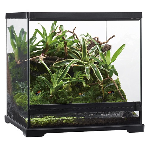 グラステラリウム ドレイン 4545 PT2745 GEX(ジェックス) 爬虫類 両生類 ガラスケージ 飼育ケース トカゲ ヘビ カメ カエル レオパ | TOPCREATE