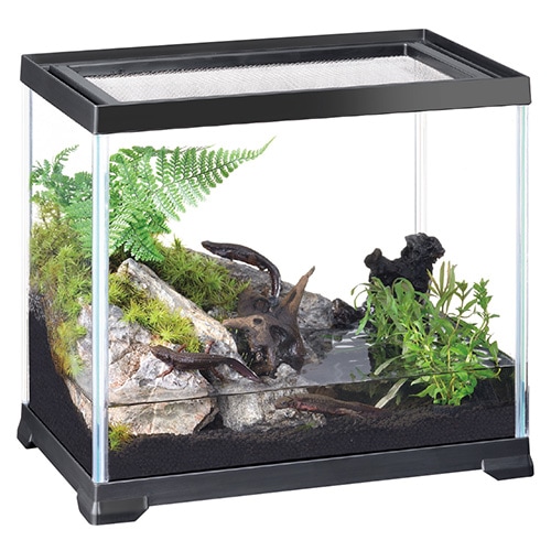 レプテリアブラック 300High GEX(ジェックス) | TOPCREATE