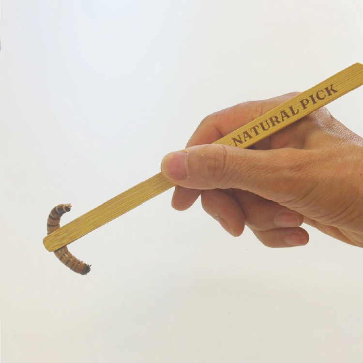 ナチュラルピック | TOPCREATE