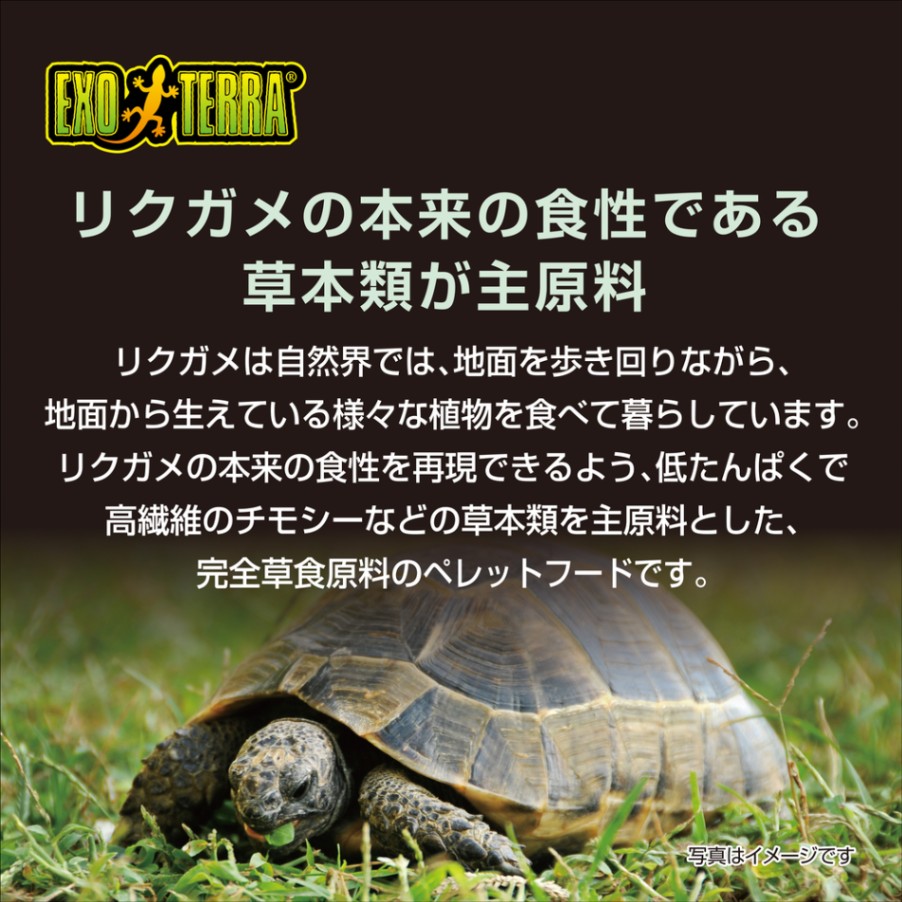 リクガメブレンドフード 180g GEX | TOPCREATE