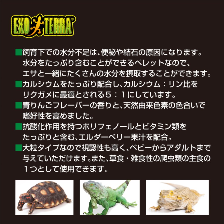 リクガメブレンドフード 180g GEX | TOPCREATE