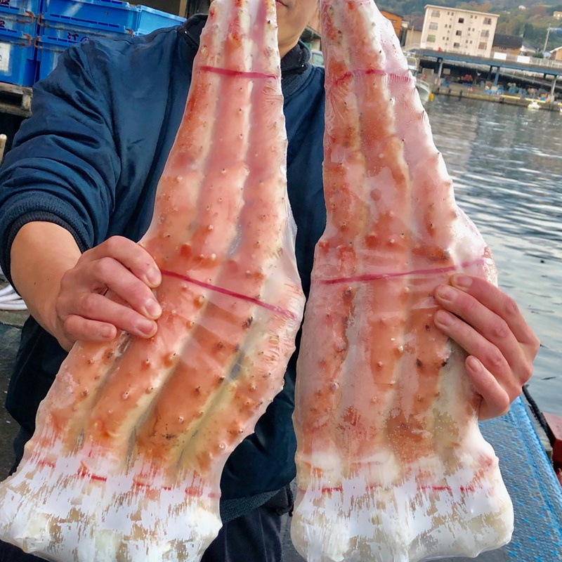 たらば蟹 1肩 5L大型サイズ 総重量約1kg(解凍後約800g)身入り【8割以上】大満足！ボイルたらばがに 【冷凍便】 | かに・えび・いか・たこ | 小田原 うまいもの市場