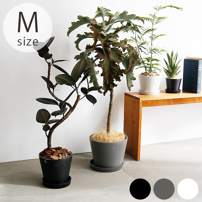 shesay シセイ エコ素材でできたフラワーポット M | 商品種別,グリーン,ポット、ハンギング、カバー、テラリウム | uminecco（ウミネッコ）