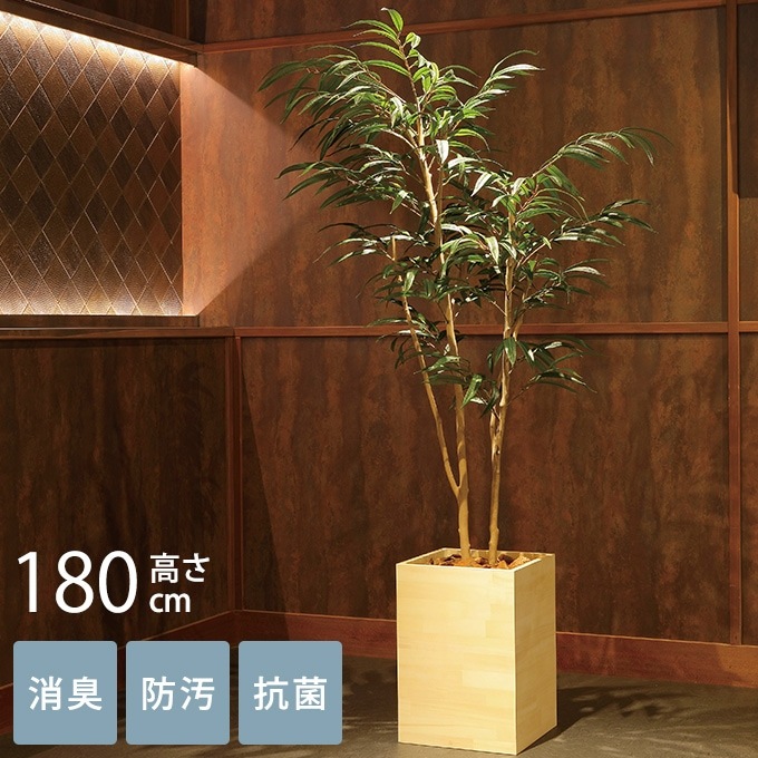 フェイクグリーン 鉢植え 大型 ウッドボックス ショウナンゴム 1.8m | 商品種別,グリーン,フェイクグリーン,ポット | uminecco（ウミネッコ）