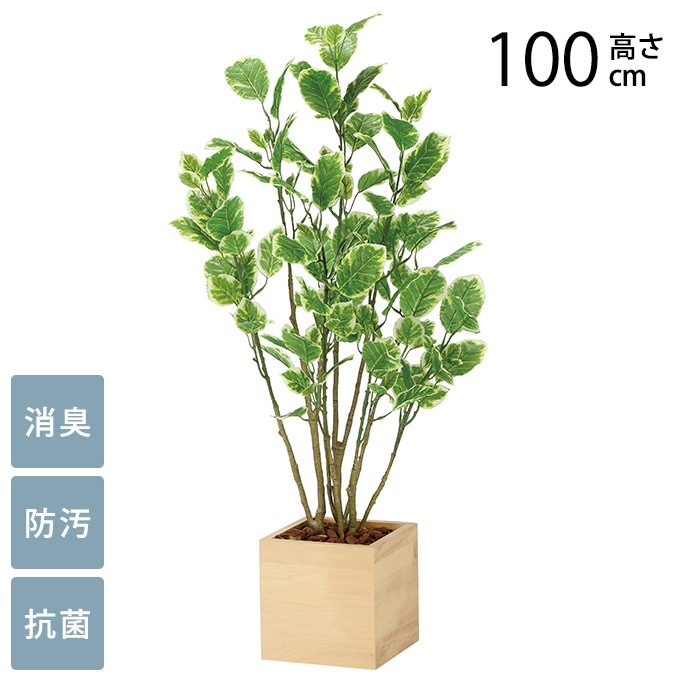 フェイクグリーン 鉢植え 大型 ウッドボックス ポリシャス 1m | 商品種別,グリーン,フェイクグリーン,ポット | uminecco（ウミネッコ）