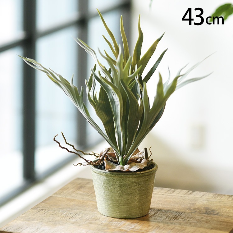 スタッキングホーン ポット | 商品種別,グリーン,フェイクグリーン,ポット | uminecco（ウミネッコ）