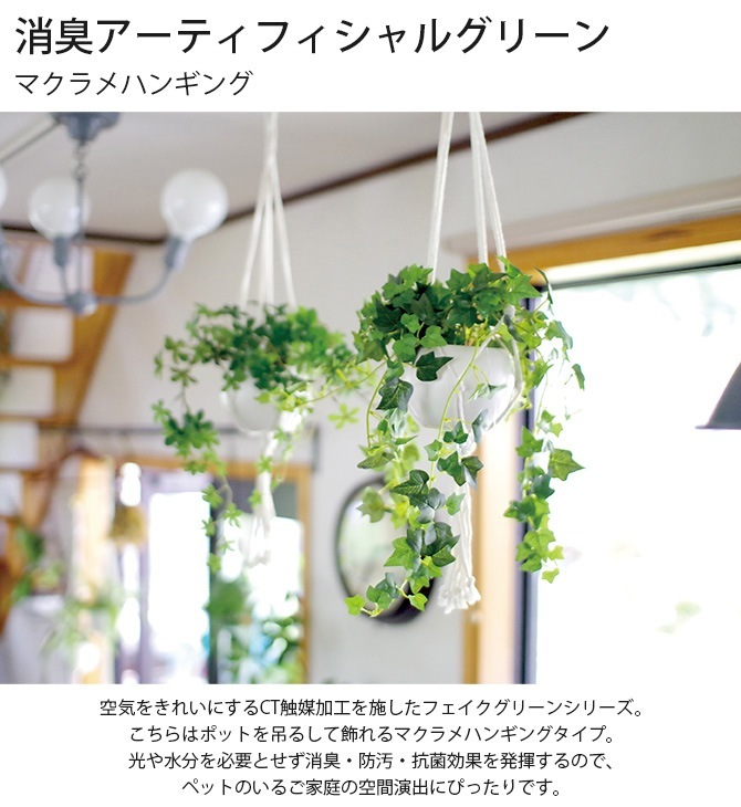 消臭アーティフィシャルグリーン マクラメハンギング | 商品種別,グリーン,フェイクグリーン,ハンギング・スワッグ | uminecco（ウミネッコ）