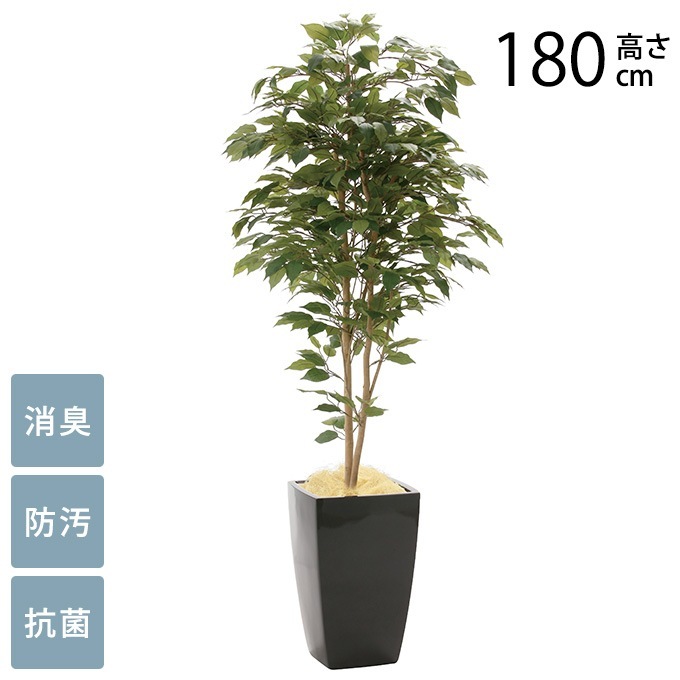 フェイクグリーン 鉢植え 大型 観葉植物 人工樹木 アーバンスタイル ベンジャミン 1.8m | 商品種別,グリーン,フェイクグリーン,ポット | uminecco（ウミネッコ）