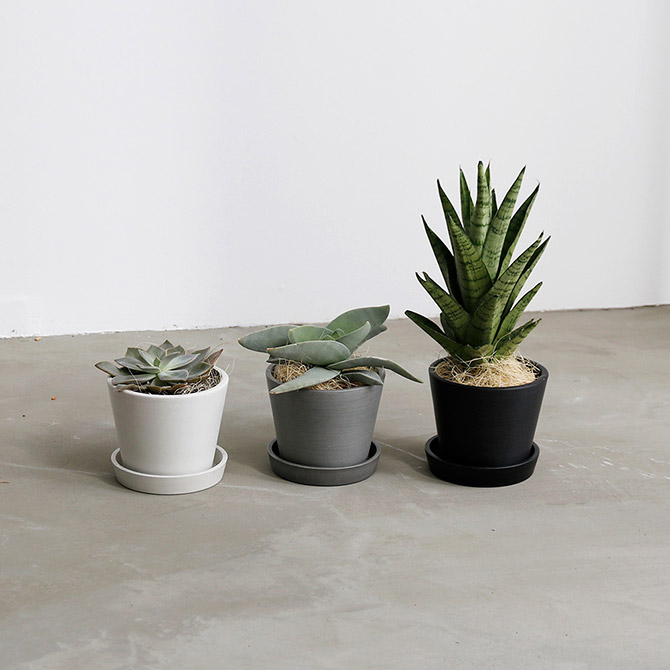 shesay シセイ エコ素材でできたフラワーポット S | 商品種別,グリーン,ポット、ハンギング、カバー、テラリウム | uminecco（ウミネッコ）