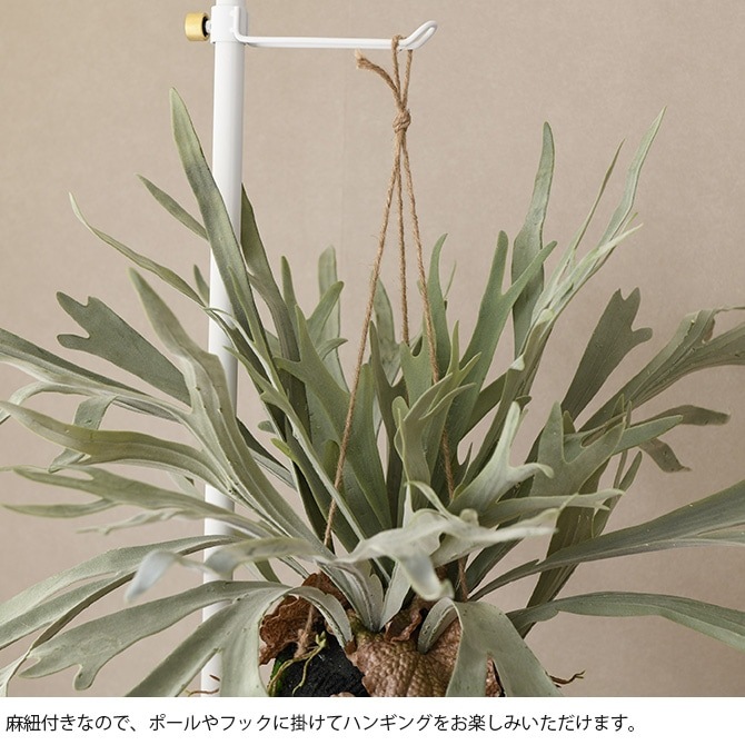 Brown. ブラウン フェイクグリーン ビカクシダ ハンギングボール 60 | 商品種別,グリーン,フェイクグリーン,ハンギング・スワッグ | uminecco（ウミネッコ）