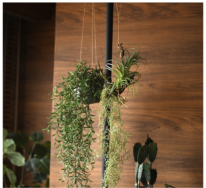 Brown. ブラウン フェイクグリーン ホヤ ハンギングポット | 商品種別,グリーン,フェイクグリーン,ハンギング・スワッグ | uminecco（ウミネッコ）