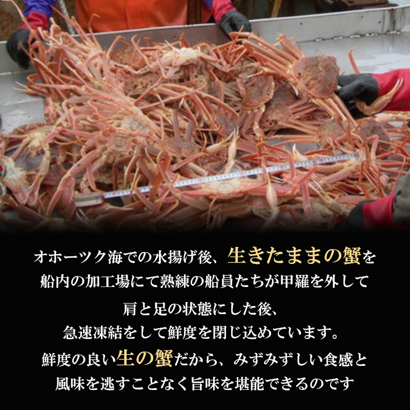 【ユニマットマリン｜ずわい蟹通販】 ニチモウフーズ 生ずわい蟹 半むき身 3パック 1.95kg 6-9人前