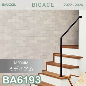 BA6193 （旧） シンコール 壁紙 ビッグエース 2022-2024