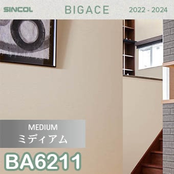 BA6211 （旧） シンコール 壁紙 ビッグエース 2022-2024