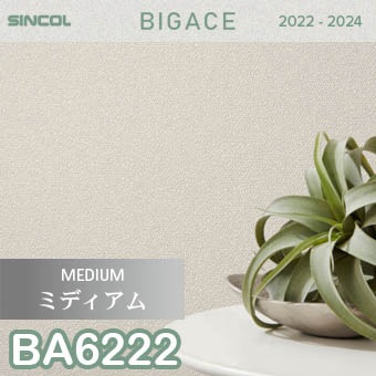 BA6222 シンコール 壁紙 ビッグエース 2022-2024 ※廃番