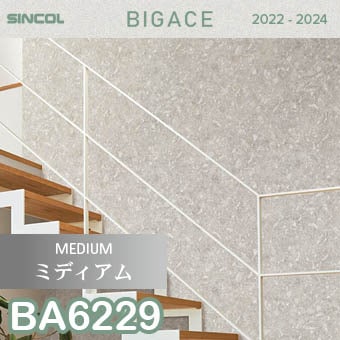 BA6229 （旧） シンコール 壁紙 ビッグエース 2022-2024