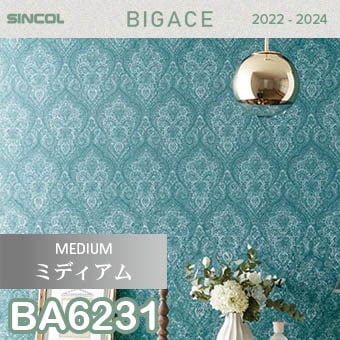 BA6231 シンコール 壁紙 ビッグエース 2022-2024 ※廃番