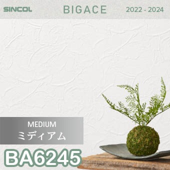 BA6245 （旧） シンコール 壁紙 ビッグエース 2022-2024