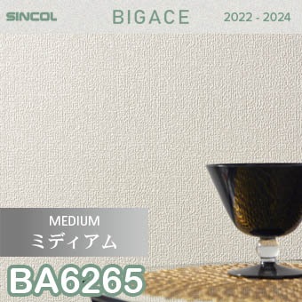 BA6265 シンコール 壁紙 ビッグエース 2022-2024 ※廃番