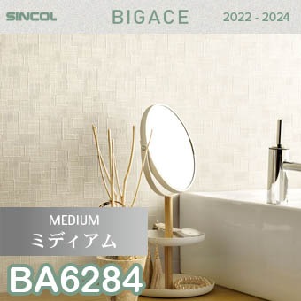 BA6284 （旧） シンコール 壁紙 ビッグエース 2022-2024