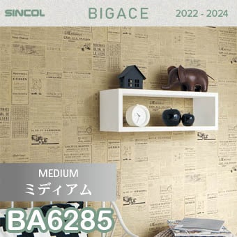 BA6285 （旧） シンコール 壁紙 ビッグエース 2022-2024
