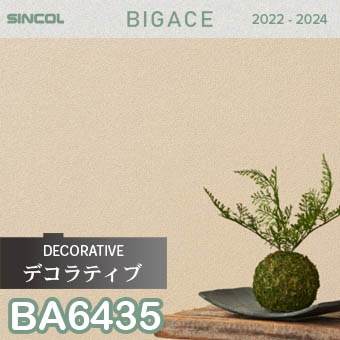 BA6435 シンコール 壁紙 ビッグエース 2022-2024 ※廃番