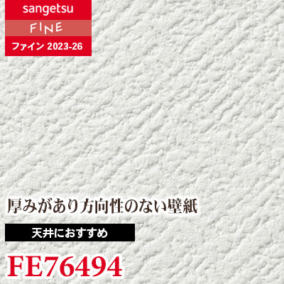 天井におすすめ