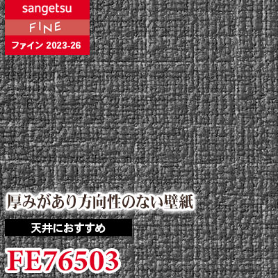 FE76503 [天井におすすめ] サンゲツ 壁紙 FINE ファイン 2023-26 m販売