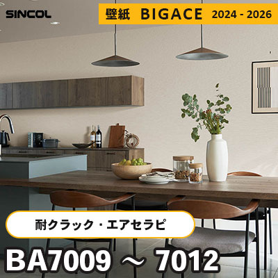 BA7009～7012 ひび割れ対策に [耐クラック] シンコール 壁紙 ビッグエース 2024-2026 m販売