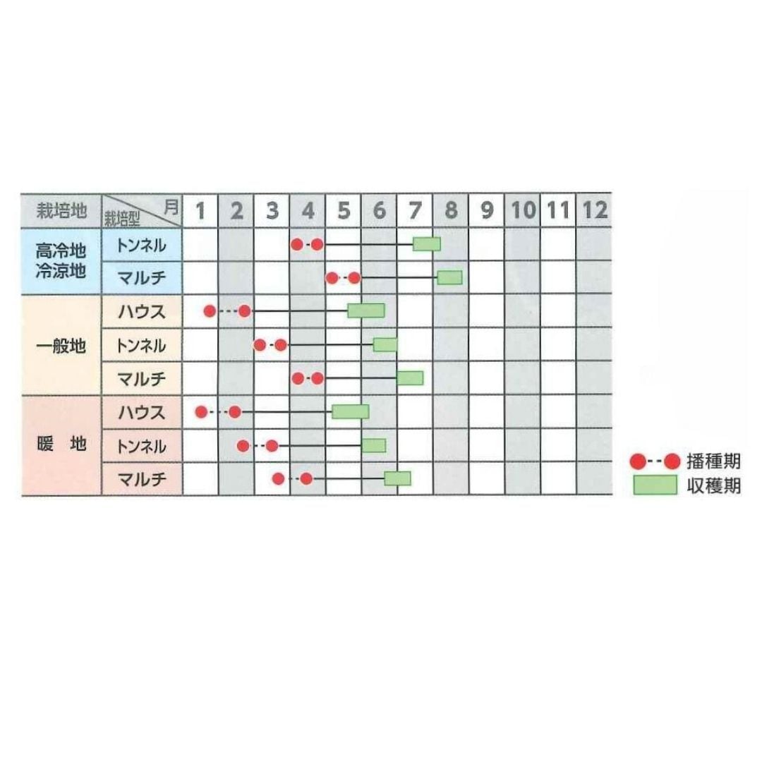 SK9－002Y（サカタのタネ）＊ | 野菜の種,豆・トウモロコシ,トウモロコシ | アグリブック