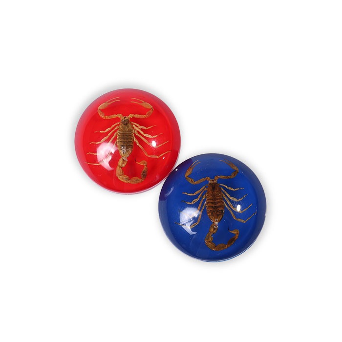 SCORPION SHIFT KNOB | JACKSUN'S | WESTERN RIVER ONLINE STORE