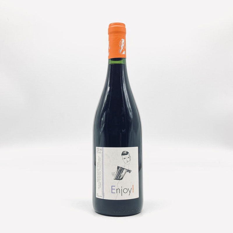 ナナ・ヴァン／エンジョイ19 750ml （在庫なし） | ワイン