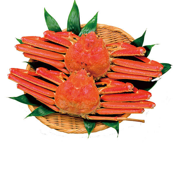 【送料込み】キョクイチフーズ カナダ産ボイルずわいがに ご自宅用 1kg 2976 | ヨシヅヤ オンラインショップ