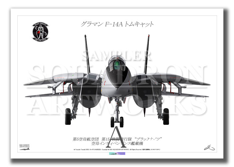 Front View” F-14A トムキャット VF-154 “Black Knights 100” (A3)」アビエーションプリント通販 ...