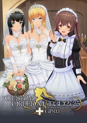 【PCソフト】 カスタムオーダーメイド3D2&2.5＋ GP-03 | PCゲーム等年齢制限有商品 | よろずやショップ びっく宝島