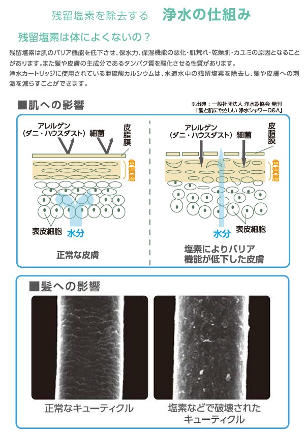 SANEI 塩素除去 浄水シャワーヘッド用 交換カートリッジ PM7164-3S 3本入り PS7964-80XA-MW2 / PS7964-CT6A-MW2 / SK18CS76-13 ...