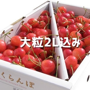 「佐藤錦」 秀優 L/2L込み バラ詰め900g の通販｜「tuchinokoe」おすすめの無添加・オーガニック食品